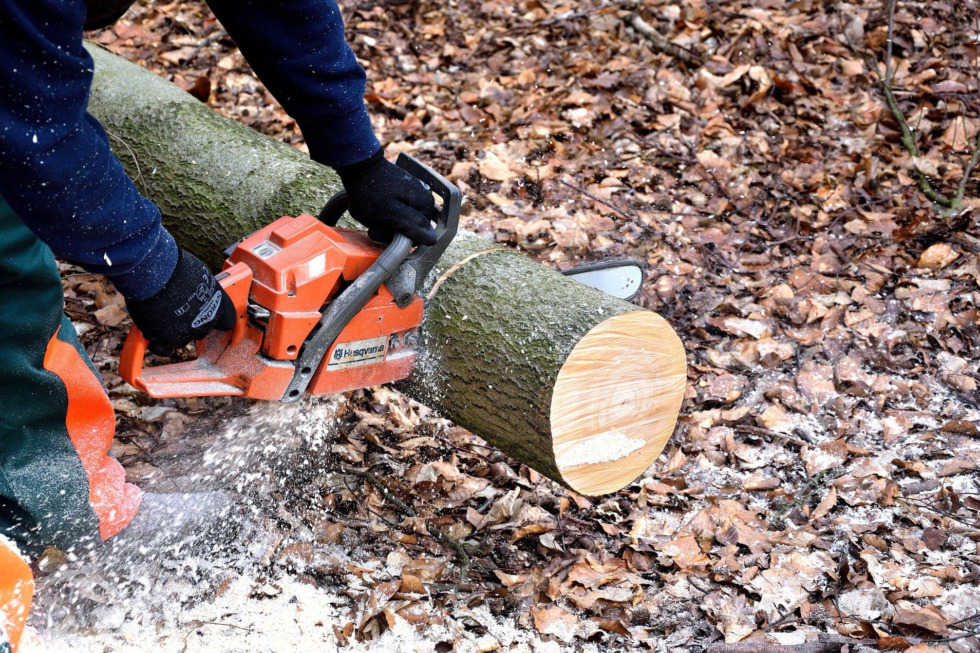 Basic DIY Chainsaw Maintenance Tips and Prime Line Replacement Parts ...
