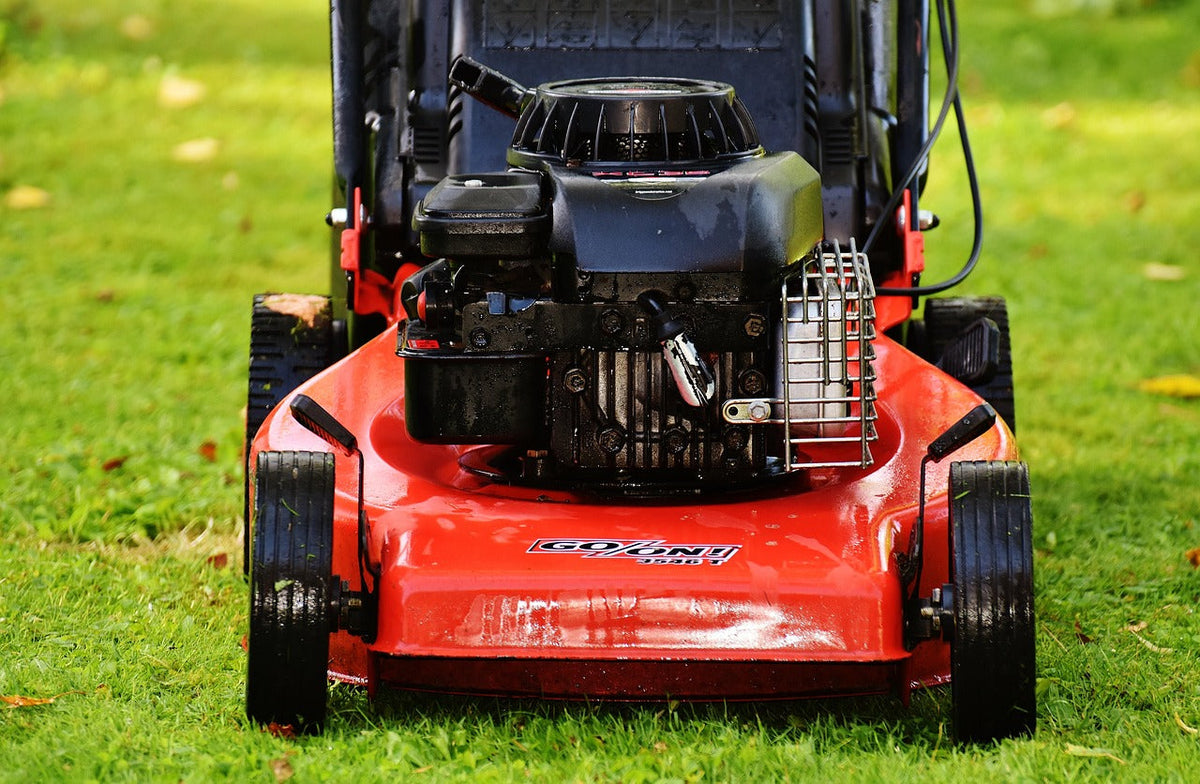 Lawn Mower Maintenance Basics: a DIYer's Guide to Tune-Ups — SIERRA
